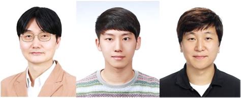 서울대 연구진 고효율 페로브스카이트 발광소자 기술 개발 나무뉴스