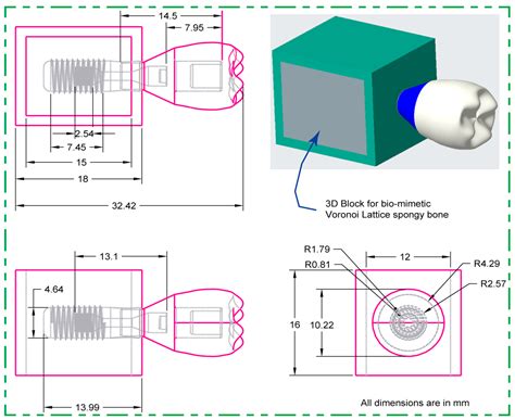 Nuclear Pore Complex Diagram