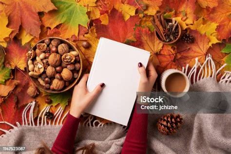 가을 플랫 누워 여자 손 골 딩 화이트 책 견과류의 나무 그릇 커피 컵 콘 계 피 베이 지 색 격자 무늬 화려한 배경 휘게 및 아늑한 정 물 평면도 읽기 시간 배너
