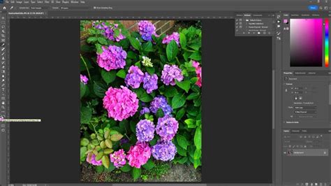 Foreground And Background Colors In Photoshop Video