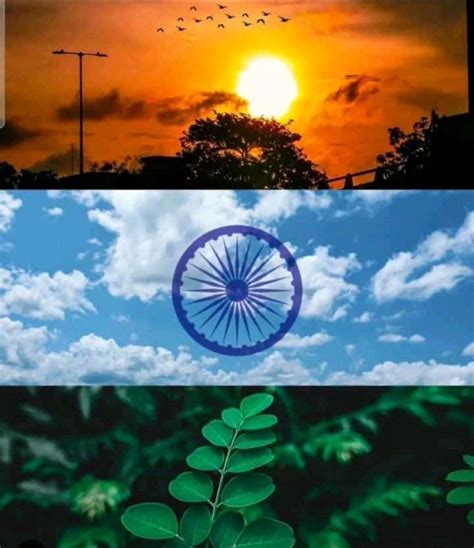 Ayush Tripathi On Linkedin 🔥happy Independence Day To All My Linkedin