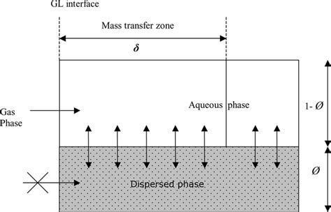 A Typical Homogeneous Model Download Scientific Diagram
