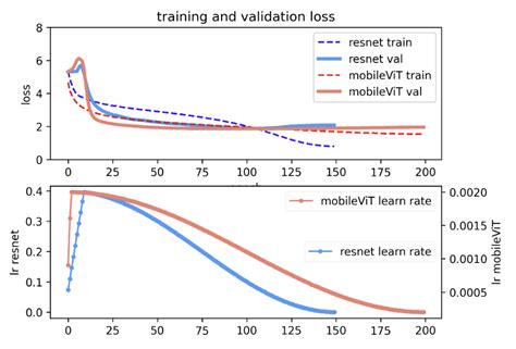 Vit Vs Cnn Classification — Sensory Intel