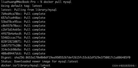 Maclinux 使用docker创建mysql启动并挂载数据卷mysql挂载数据卷 Csdn博客