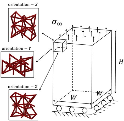 Rectangular FE Lattice Models For Each Of The Three Orientations Download Scientific Diagram