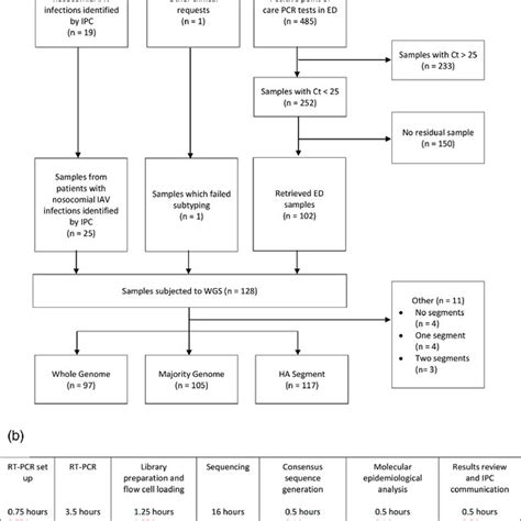 A Iav Sample Identification And Categorization For Molecular