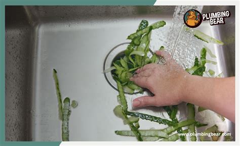 Effective Tips On How To Maintain Your Garbage Disposal Plumbing Bear