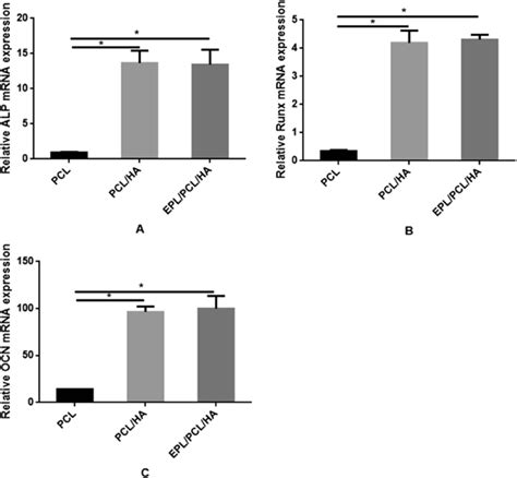 Quantitative Analyses Of Osteogenesis Related Gene Expressions I E Download Scientific