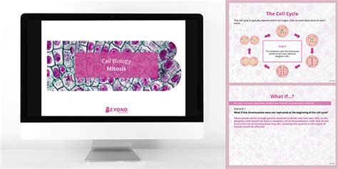 Cell Cycle What If Powerpoint Activity Aqa Biology Beyond