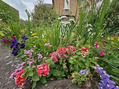 20240825130805 Ian Stringfellow Flickr