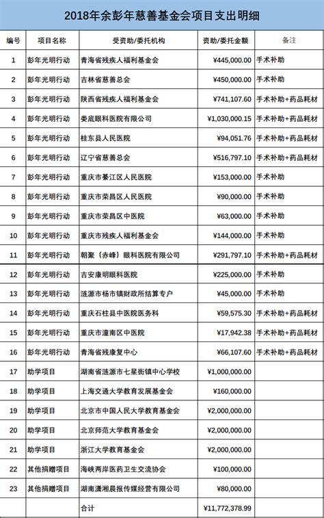 2018年余彭年慈善基金会捐赠项目支出明细 余彭年慈善基金会