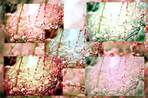 Gimp Curves By XBeautifulLiar On DeviantArt