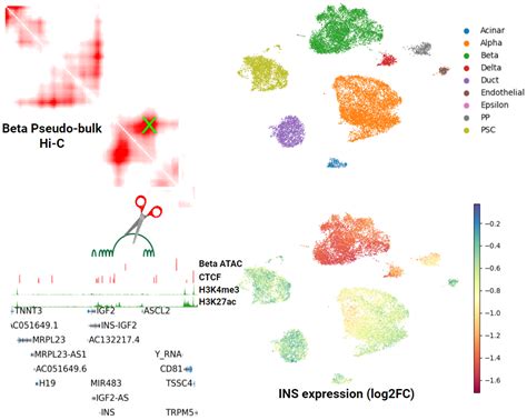 Dylans Research Page Dylan Plummer