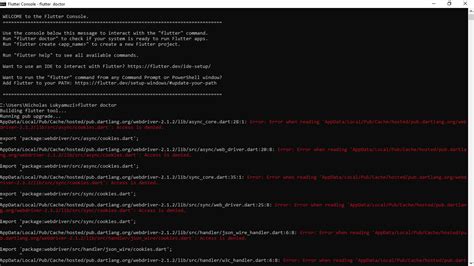 I Seem To Get These Errors While Running Flutter Doctor And Running Pub Upgrage Any One Come To