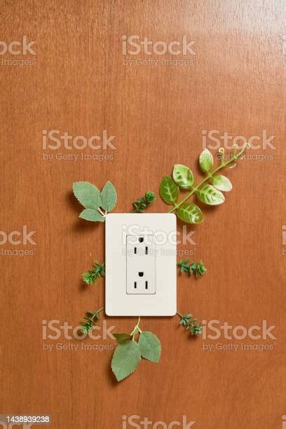 식물 녹색 전기 개념 재생 에너지 지속 가능한 전기 플러그 0명에 대한 스톡 사진 및 기타 이미지 0명 개발 녹색 기술 Istock