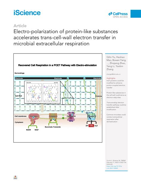 Pdf Polarization Of Protein Like Substances With Electrical Stimulation Accelerates The Trans