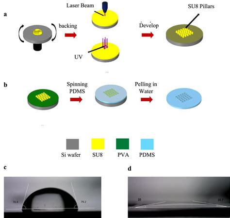 Step By Step Processes For Membrane Fabrication A Mold Preparation Download Scientific