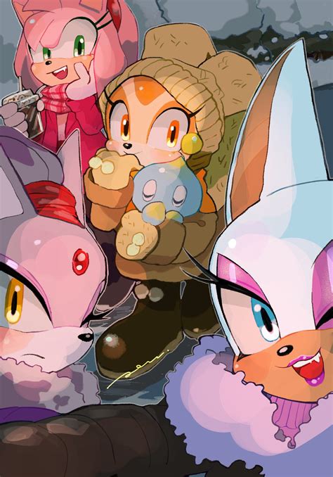 Amy Rose Blaze The Cat Rouge The Bat Cream The Rabbit And Cheese