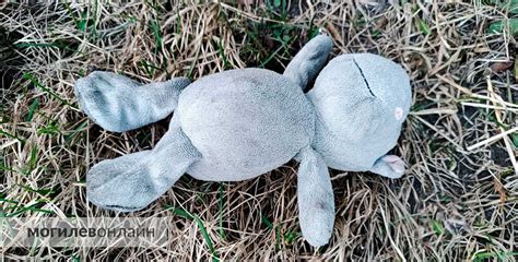 «Затащил в хозпостройку приспустил штаны и трусы На Витебщине задержан педофил который