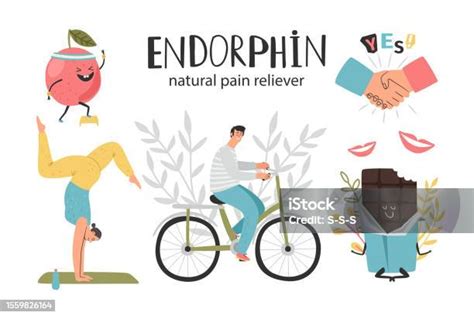 자연적인 진통제 엔돌핀 호르몬 건강 다채로운 벡터 삽화 벡터에 대한 스톡 벡터 아트 및 기타 이미지 벡터 세로토닌 감정 Istock