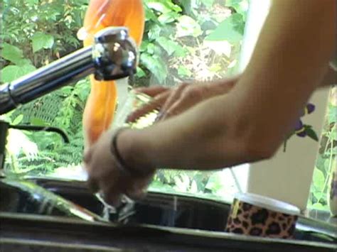 Susana De Garcia Pornissimo Org