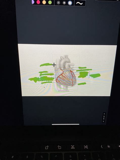6 Diagram Quizlet