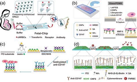 Nanostructure Embedded Microchips For Fnrbcs Immunoadsorption Methods
