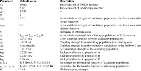 parameters used for modeling distributed working memory network