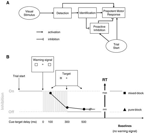 A Proactive Inhibition In A Simple Warned Reaction Time Rt Task As Download Scientific