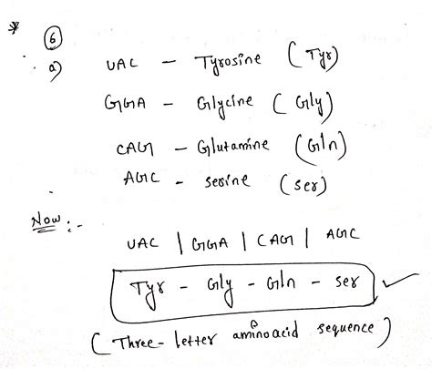 [solved] 6 Using The Genetic Code Wheel Answer The Following