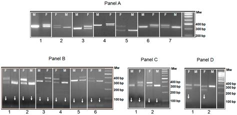 Molecular Determination Of Sex From Down And Feather In Wild And Reared