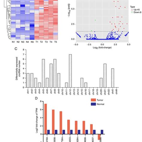Overview Of The Circrna Profiles N Normal Thyroid Tissues T Tumour