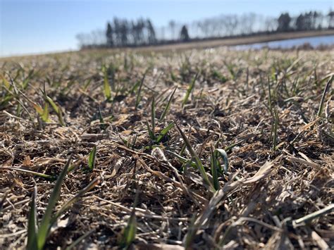 The Lure And False Hope Of False Spring Agweek 1 Source For Agriculture News Farming Markets