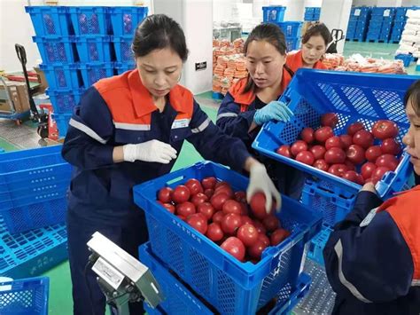 今天我市学校食材集中配送全面试运行 保障