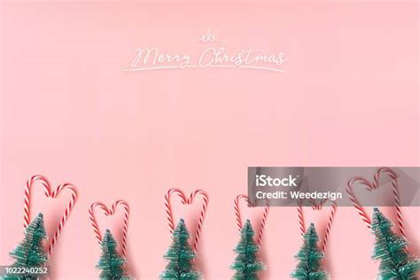 사탕 지팡이와 파스텔 핑크 벽에 걸려와 트리 크리스마스 트리 화이트 메리 크리스마스 단어 휴일 축제 축 하 인사말 카드입니다 0명에 대한 스톡 사진 및 기타 이미지 Istock