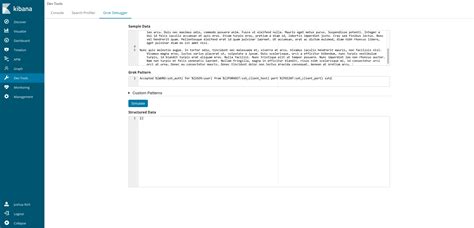 Better Box Expansionresizeable Text Boxed In Grok Debugger Ui · Issue