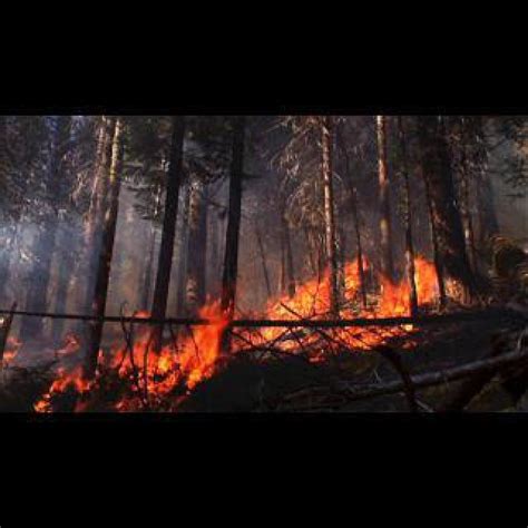 Fire Smoker Object Detection Dataset V2 2023 04 07 11 36pm By Posco Ai Big Data Academy