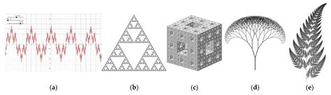 Fractal Analysis Of Multiscale Biological Systems V1
