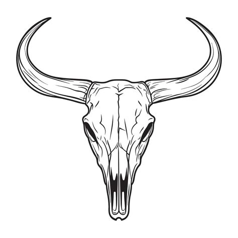 Elegant Longhorn Cow Skull Drawing Design 54985201 Vector Art At Vecteezy