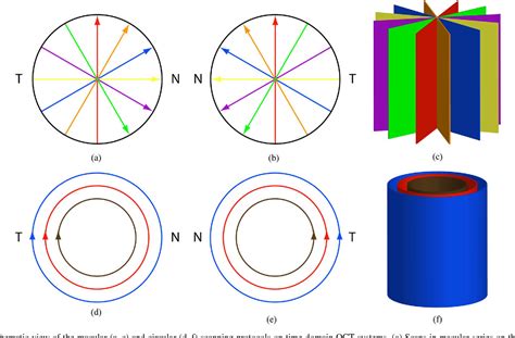 figure 1 from intraretinal layer segmentation of macular optical