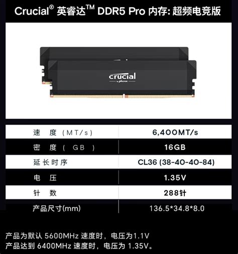 高性能内存对于游戏帧率如此重要！英睿达ddr5 Pro 6400mhz评测 Lzhdims Fashion 博客园