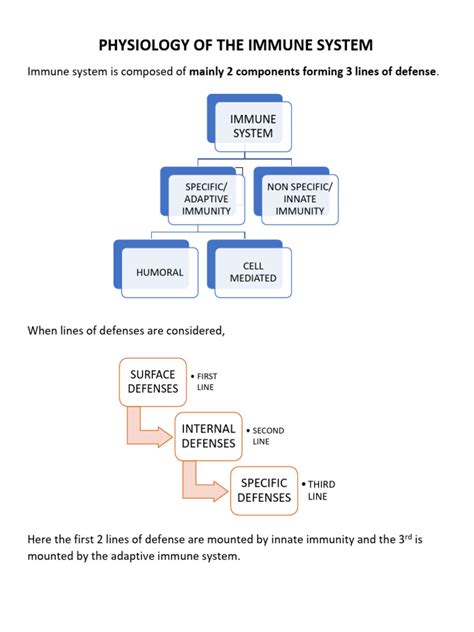 Immune System Physiology Overview Pdf Immune System Antigen