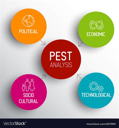 Pest Diagram Schema Royalty Free Vector Image Vectorstock