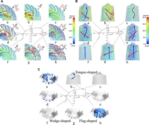 Flow Patterns And Cavitation Patterns For Different Working Points A
