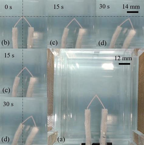 Experimental Actuation Of The 3d Printed Soft Parallel Actuator A Download Scientific