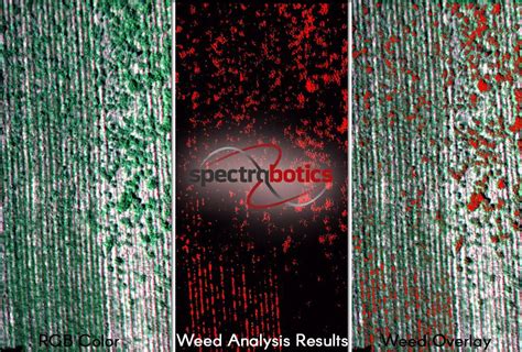 Weed Detection From Drones Weed Control Currently Requires More… By Spectrabotics Llc Medium