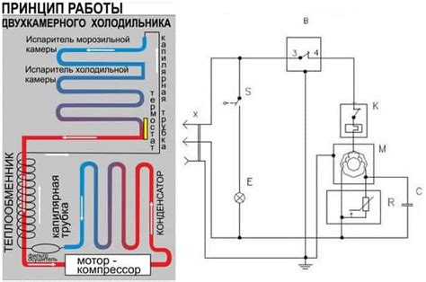 Электрическая схема холодильника устройство и принцип работы бытовых