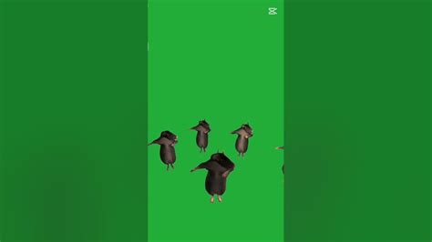 سقما سقما بوي Youtube