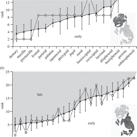 Ossification Sequence Of A Cranial And B Post Cranial Elements In