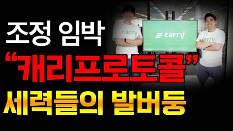 캐리프로토콜 조정 임박 세력들의 발버둥 Youtube